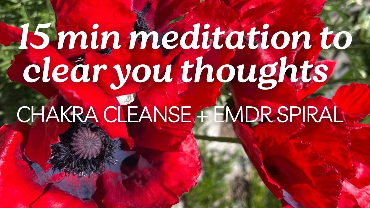 Find Peace: 15 minutes of mind-clearing meditation - YouTube