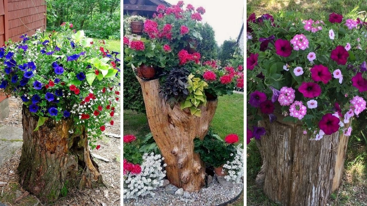 42 Amazing Tree Stump Ideas // Pictures of Cool Uses for Tree Stumps ...