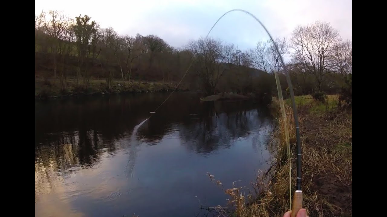 Grayling Dry Fly Fishing, Carrog on the Welsh Dee - New Year's Eve VCAC ...