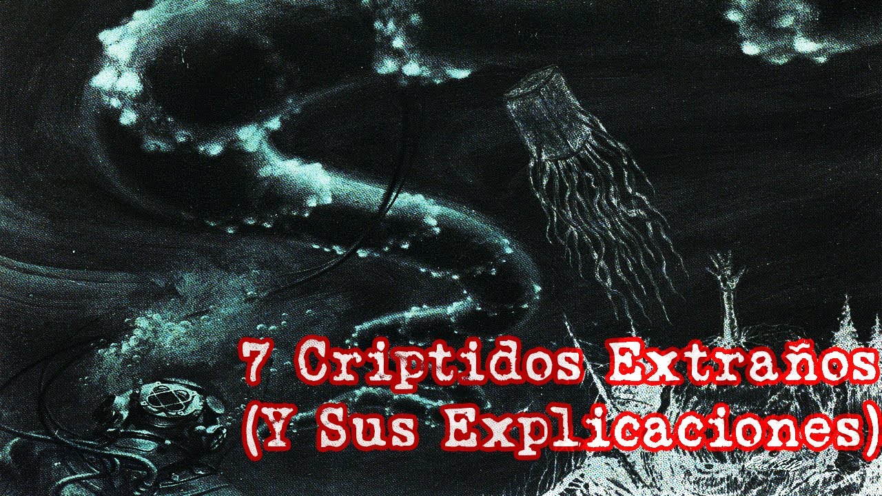 7 Criptidos Extraños (Y Sus Explicaciones) - Criptozoologia #6 - YouTube