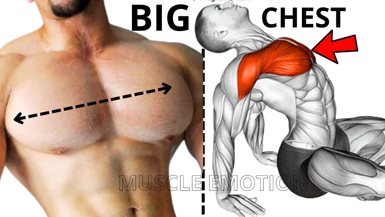 5 BEST CHEST EXERCISES YOU’VE EVER SEEN IN YOUR GYM - YouTube