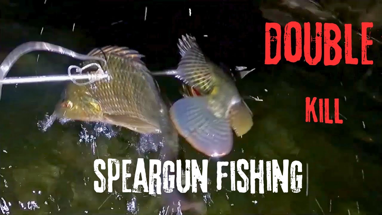 CARP spear gun AND Net fishing, BUSHCRAFT, fishing, hunting, trapping ...