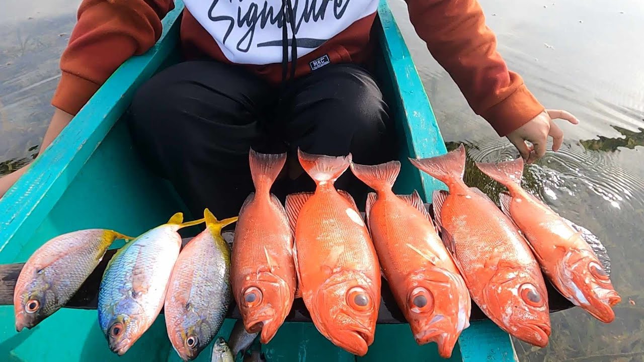 Pulang Isda at Dalagang Bukid nahuli sa handline fishing - YouTube