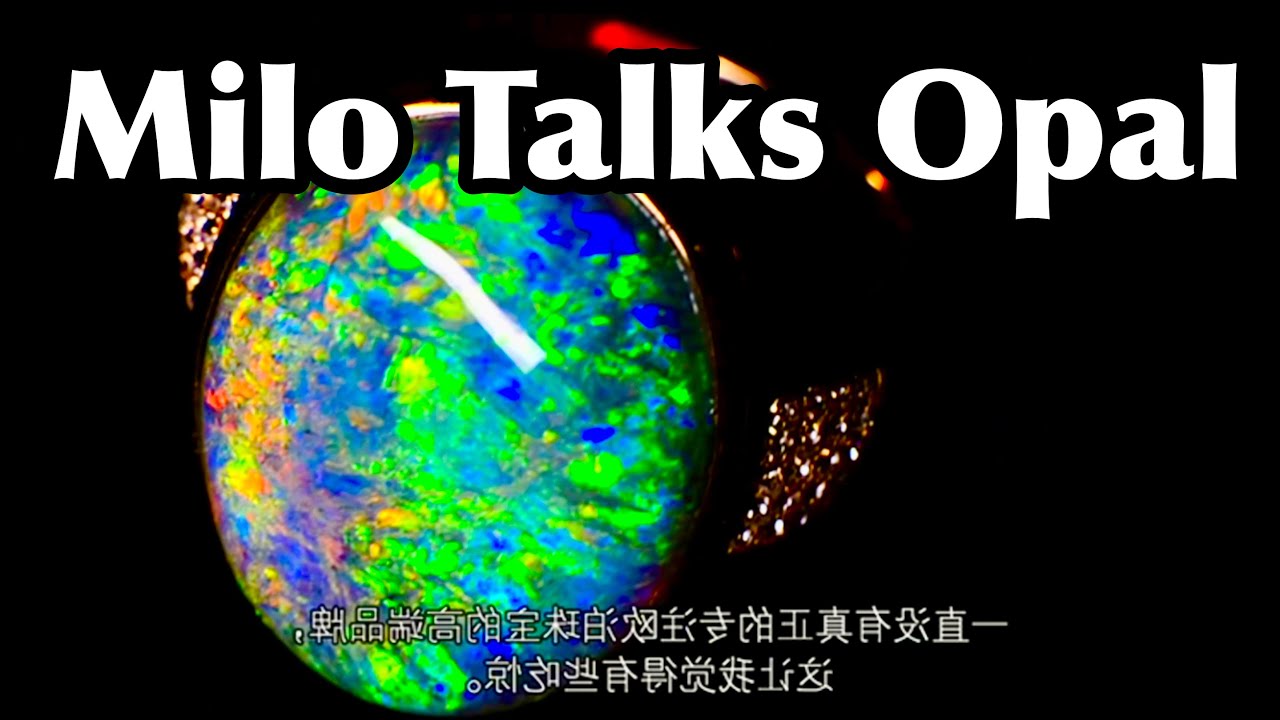 Milo Talks Opal: Milo Opal Introduction - YouTube
