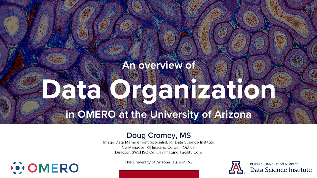 OMERO 101 Data Management - An overview of data 0rganization in OMERO ...