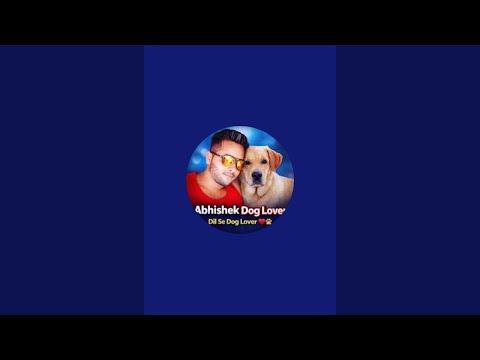 abhishek dog 🐶 lovers  is live dans party 🥳