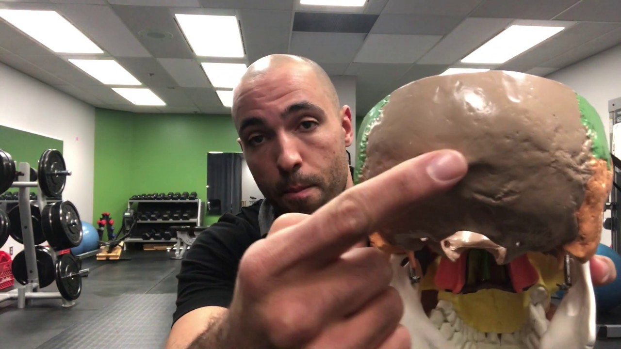 Simple Neck Exercise For Persistent Post-Concussion Symptoms. - YouTube