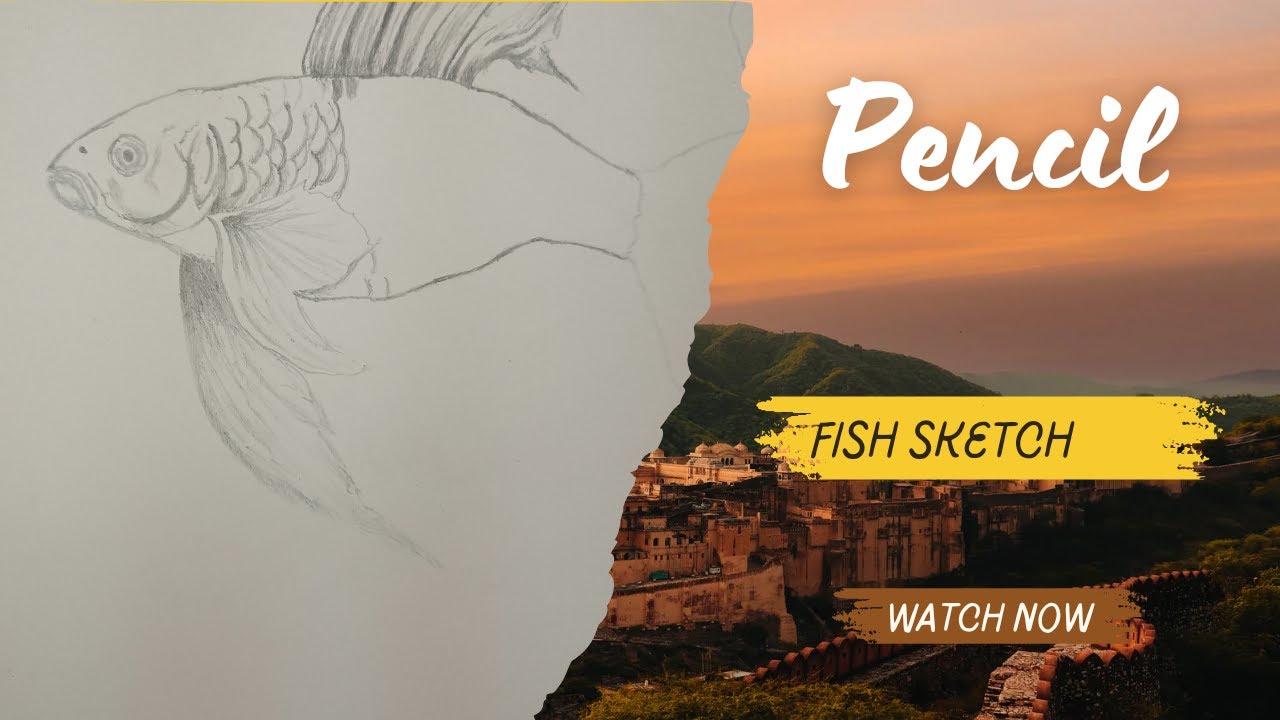 Fish pencil sketch//normal pencil - YouTube