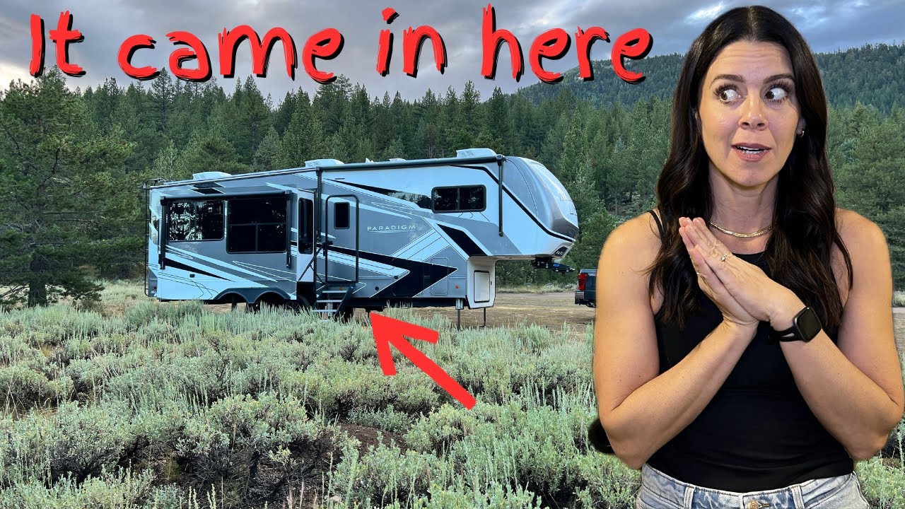 Don't let this RUIN your RV trip! Our first MOUSE in our New RV - YouTube
