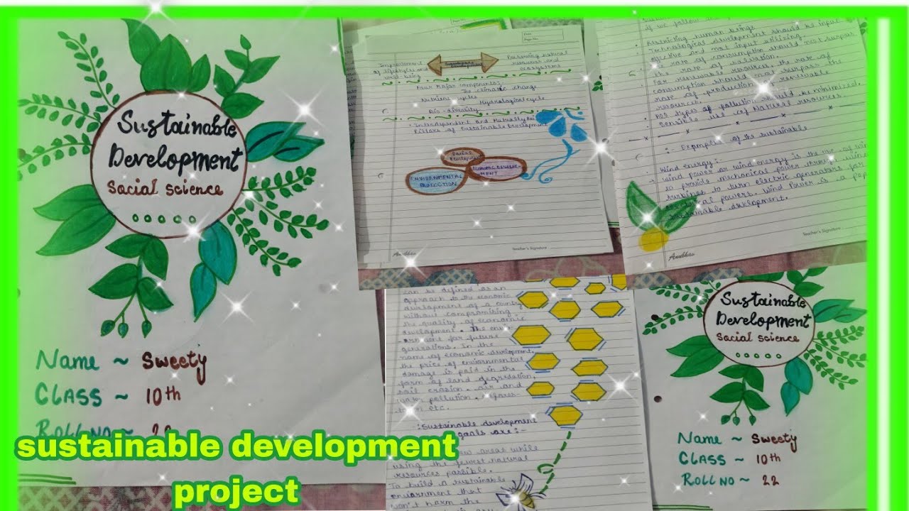 Project on sustainable development|| social science project file ...