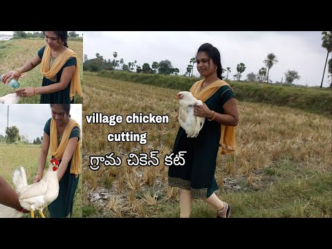 village chicken cutting || గ్రామ చికెన్ కట్