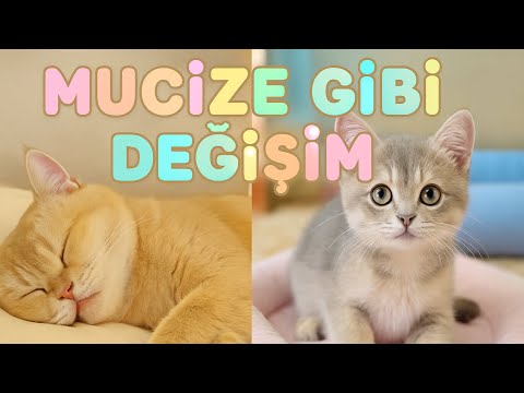 Oscar’ın mucize değişimi