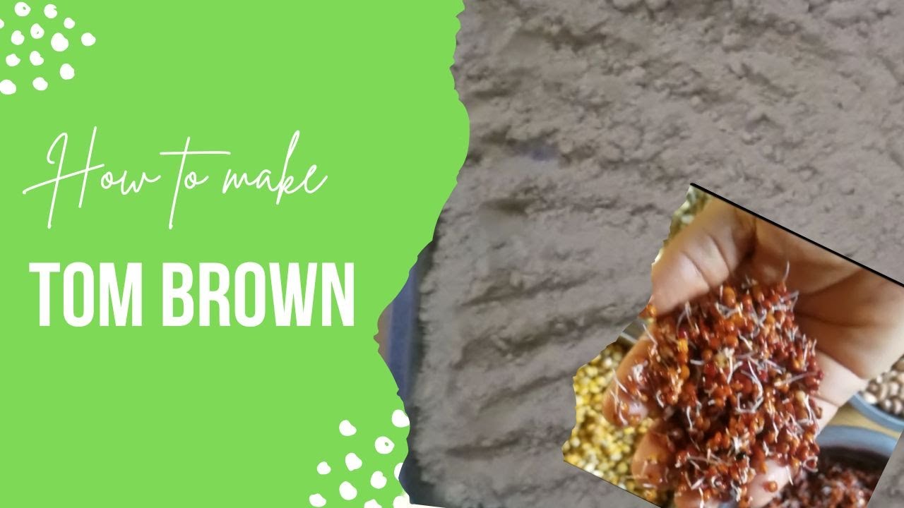 How To Make Tom Brown From Sprouted Grains - YouTube