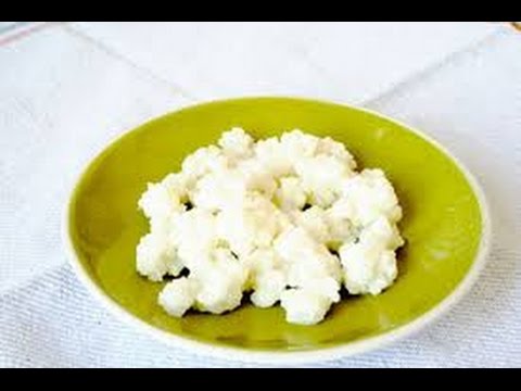 Как приготовить Тибетский молочный гриб какая его польза народный ...