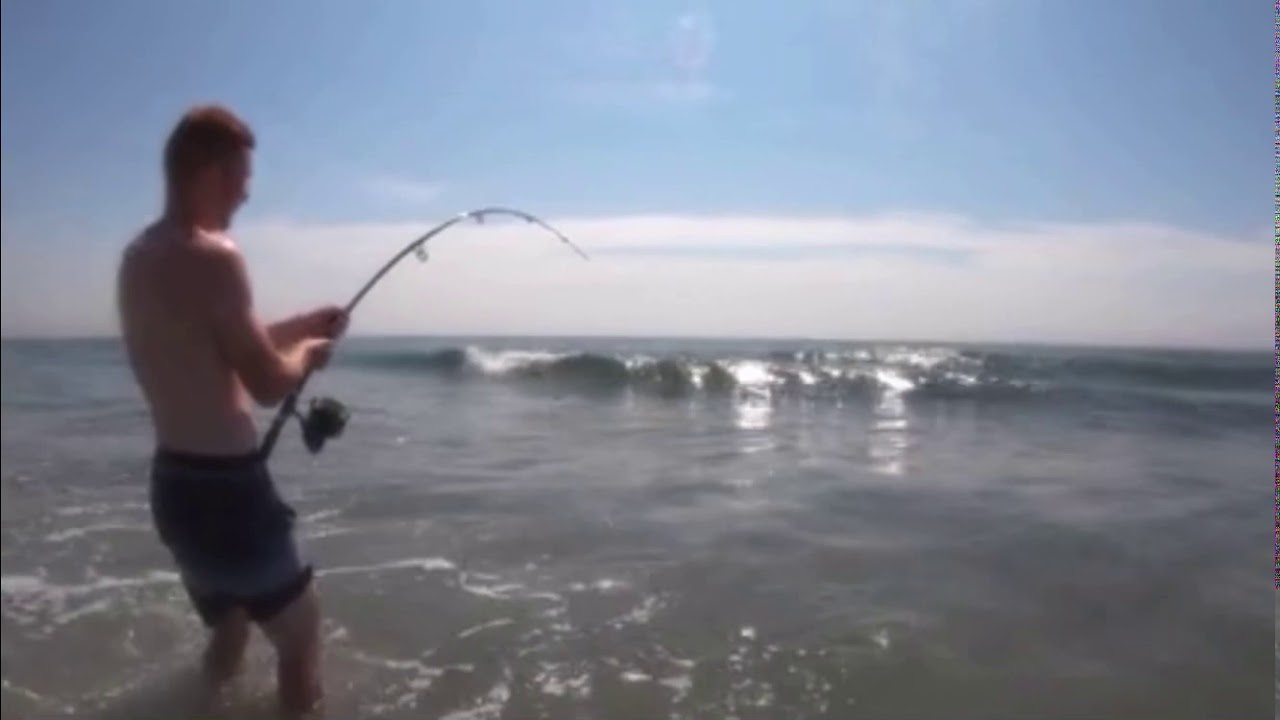 Huge Stingray In The Nj Surf - YouTube