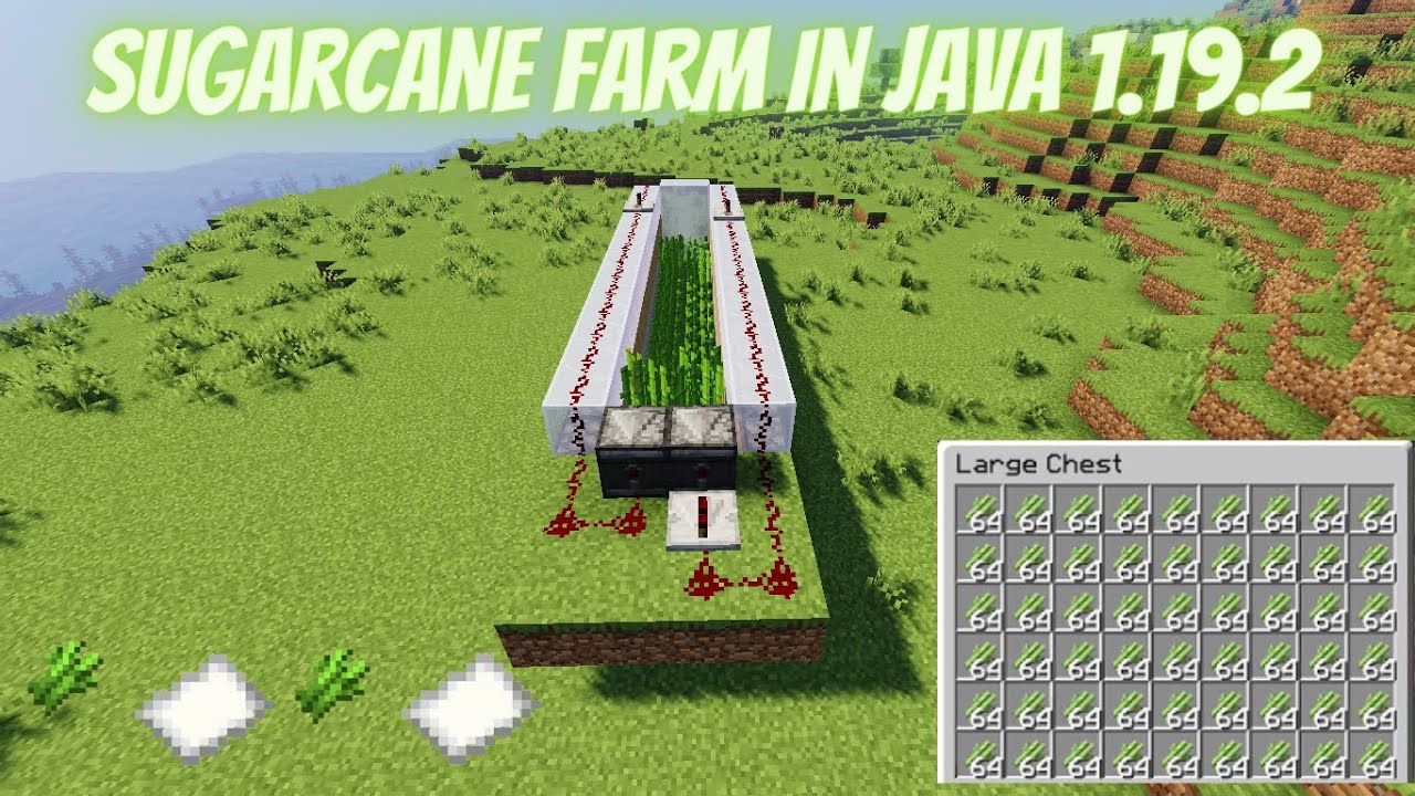 Best EASY Sugarcane Farm Minecraft 1.19.2 . JAVA...! - YouTube
