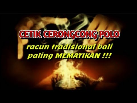 leak bali, cetik cerongcong polo racun tradisional bali, paling ...