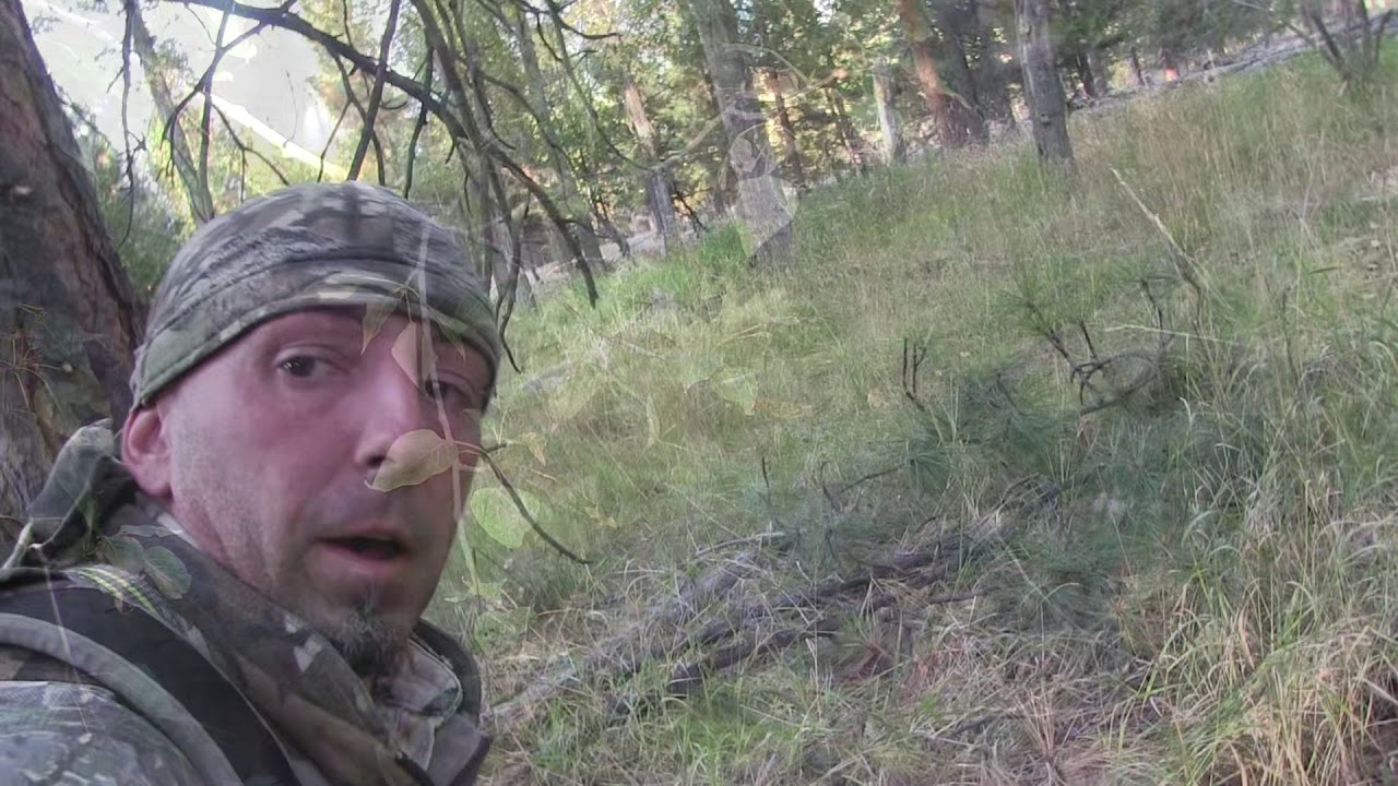 Montana doe hunt with a centaur longbow - YouTube