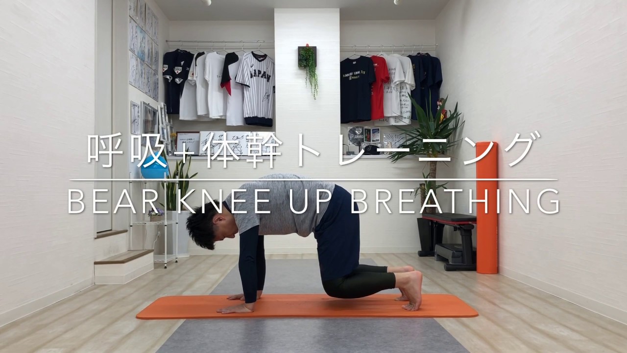 （24）呼吸＋体幹エクササイズ（ bear position breathing） - YouTube