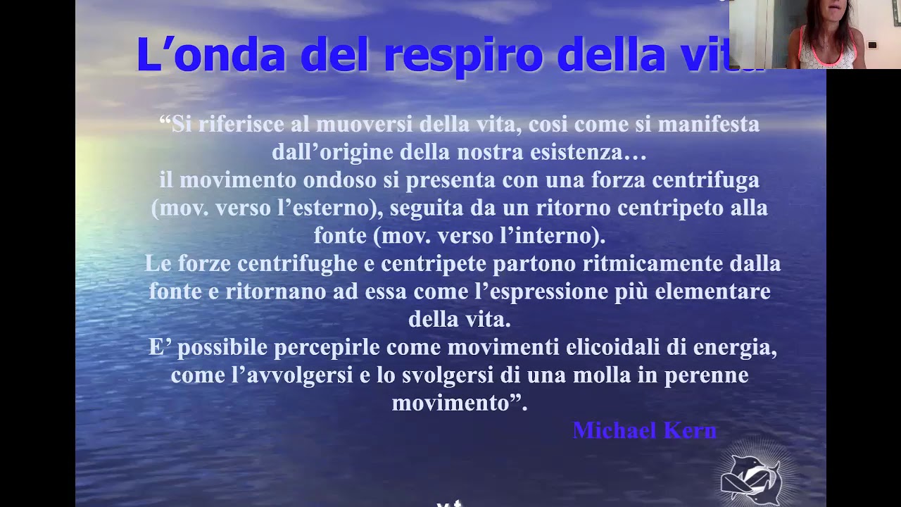 FORZA CENTRIFUGA/CENTRIPETA - YouTube