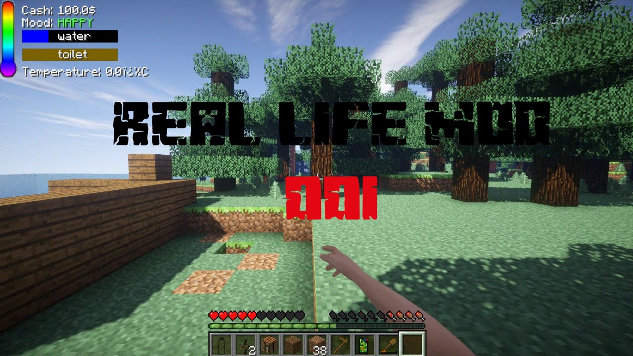 Let's Play modded Minecraft|Real Life Mod #001★Ein neues Zuhause - YouTube