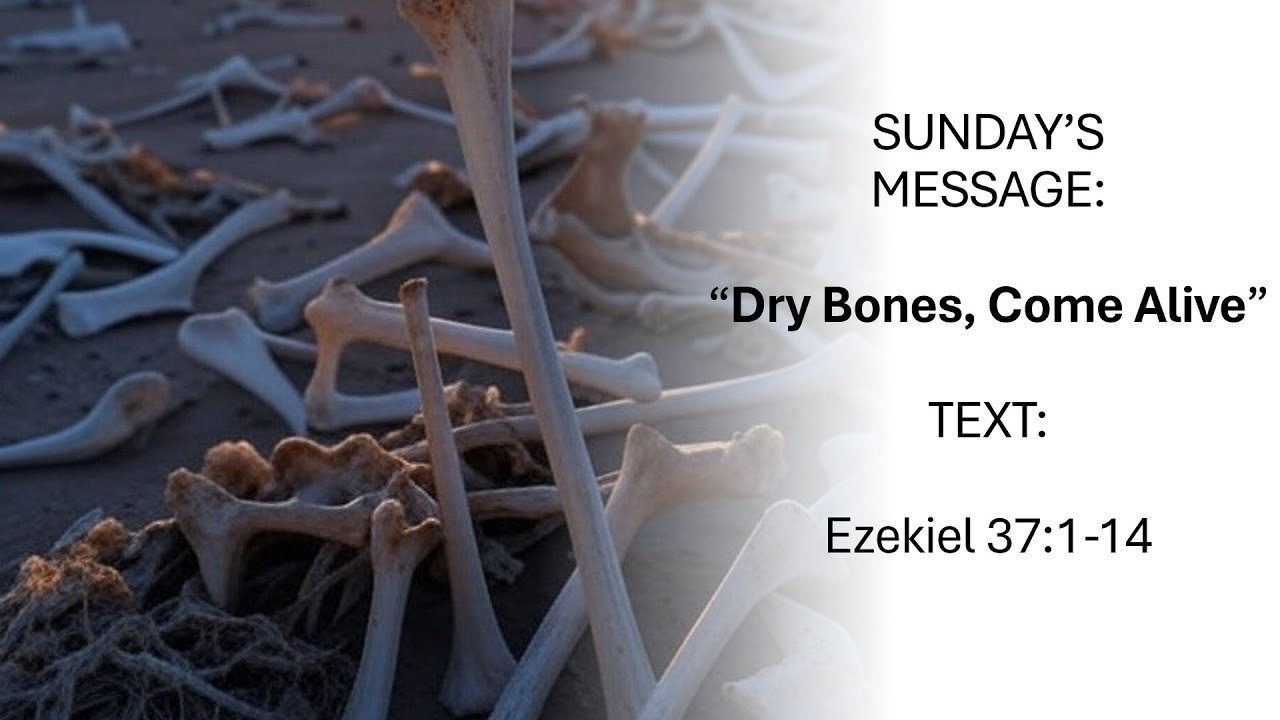 "Dry Bones Come Alive" TEXT: Ezekiel 37:1-14 - YouTube