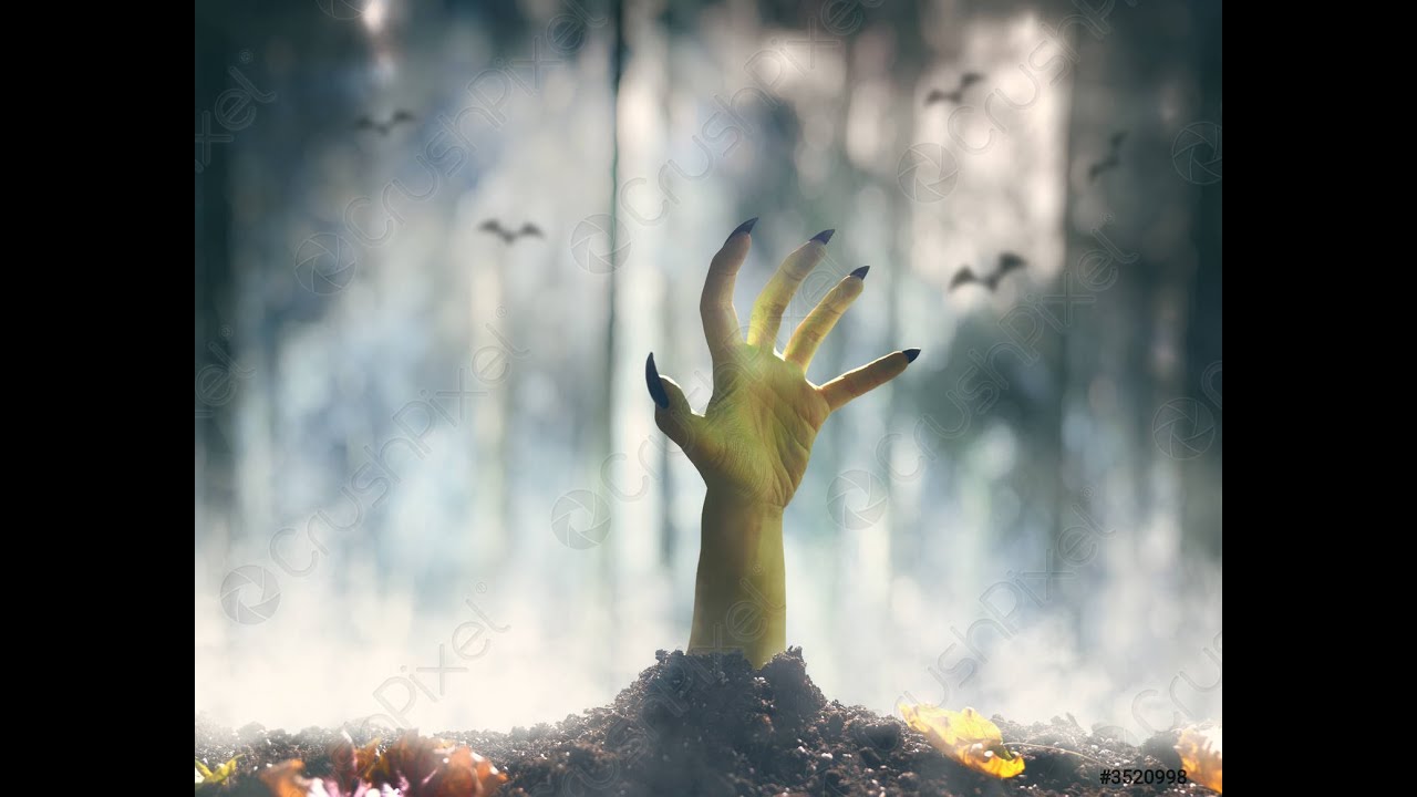 The haunted Halloween mansion TG - YouTube