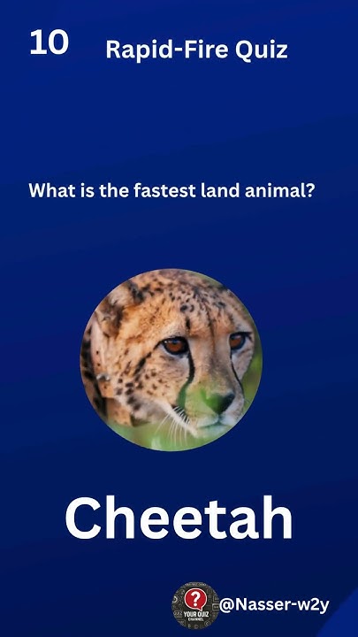 V1 Rapid Fire Quiz "15 Questions. 3 Minutes. Can you beat the clock ...