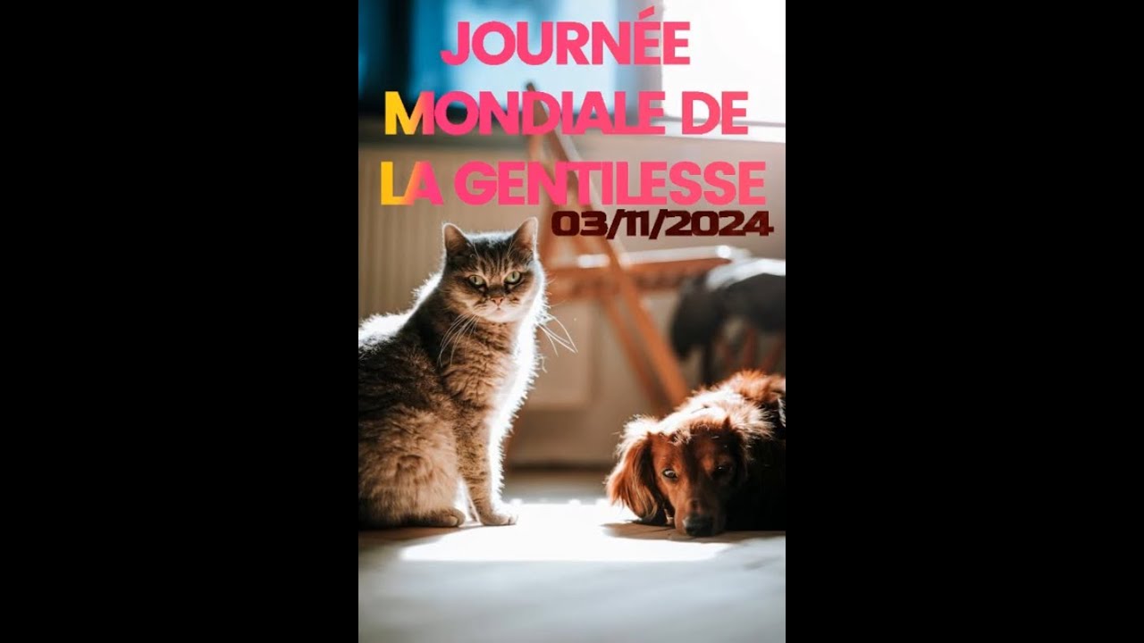 Jounée Mondiale de la Gentilesse - YouTube