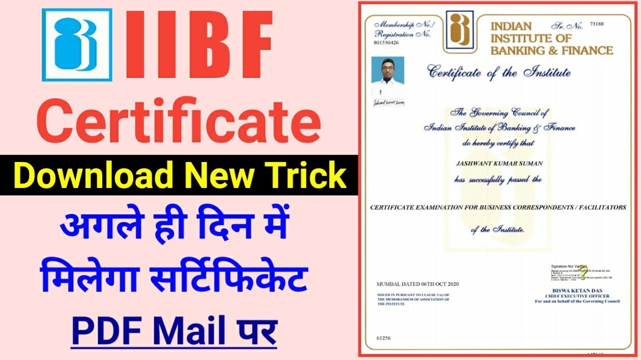 IIBF Certificate Download | IIBF Ka Certificate Download Kaise Kare ...
