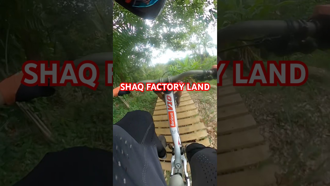 SHAQ FACTORY LAND #dh #vibe #mtb - YouTube