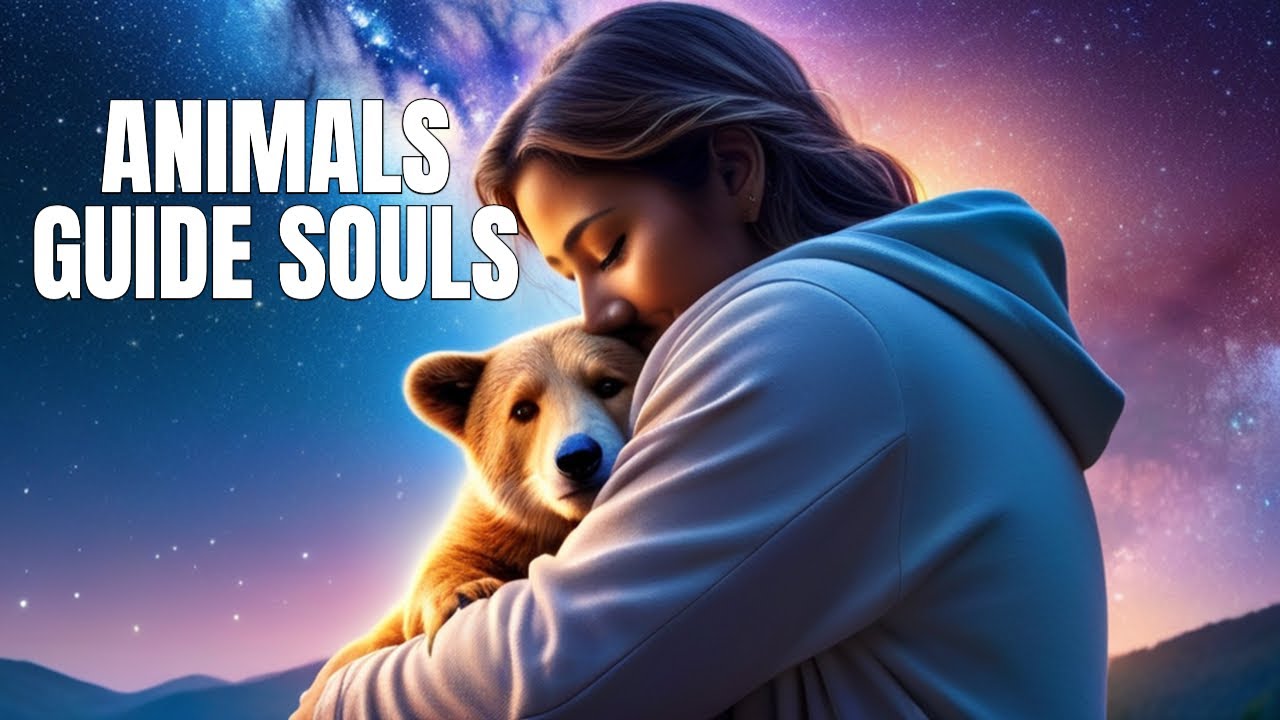 Soul Journey - The Spiritual Significance of our Animal Companions ...