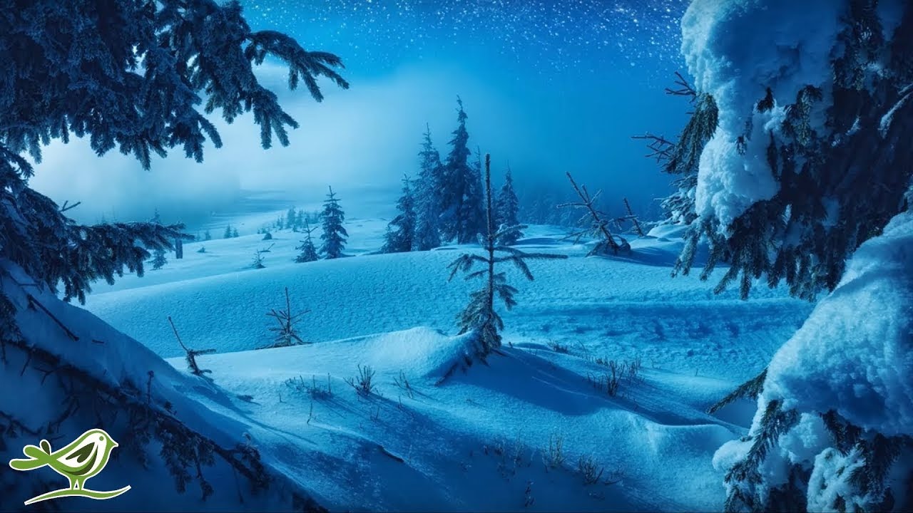 Rustige pianomuziek met prachtige winterfoto's • Rustgevende muziek om ...