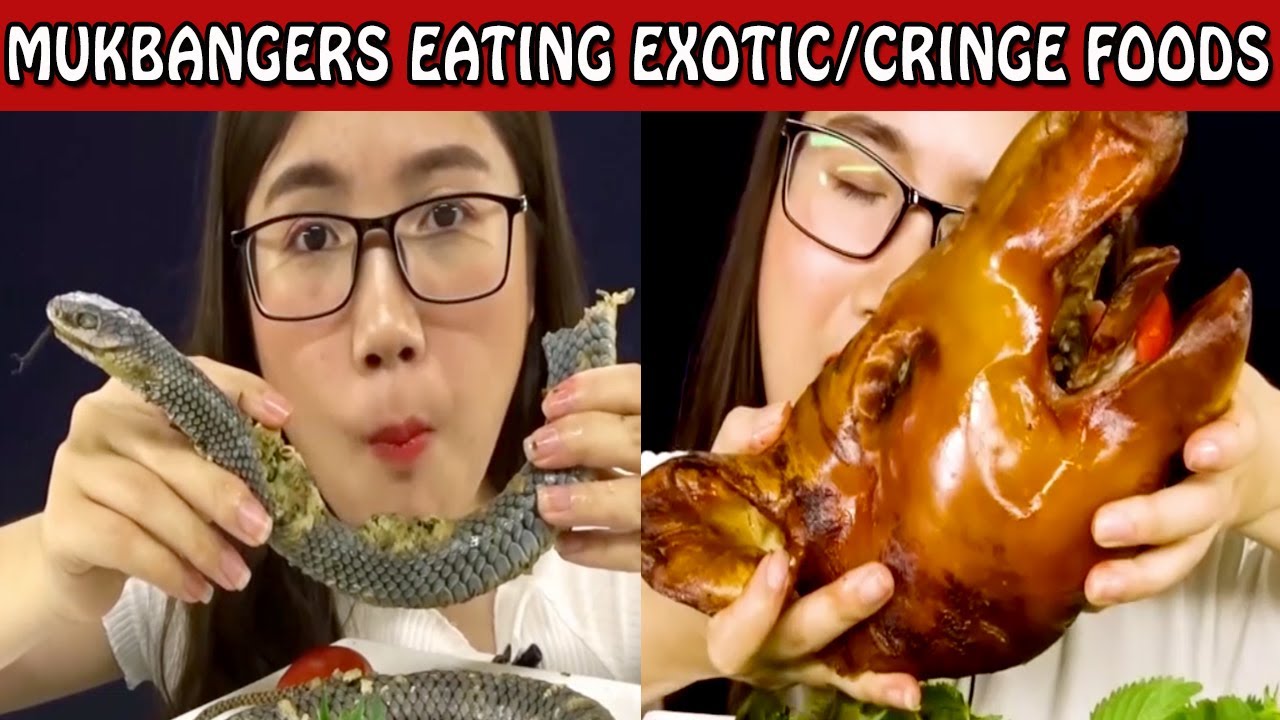 Mukbang ASMR Exotic/Cringe Foods Compilation - Loud Chewing Sounds ...