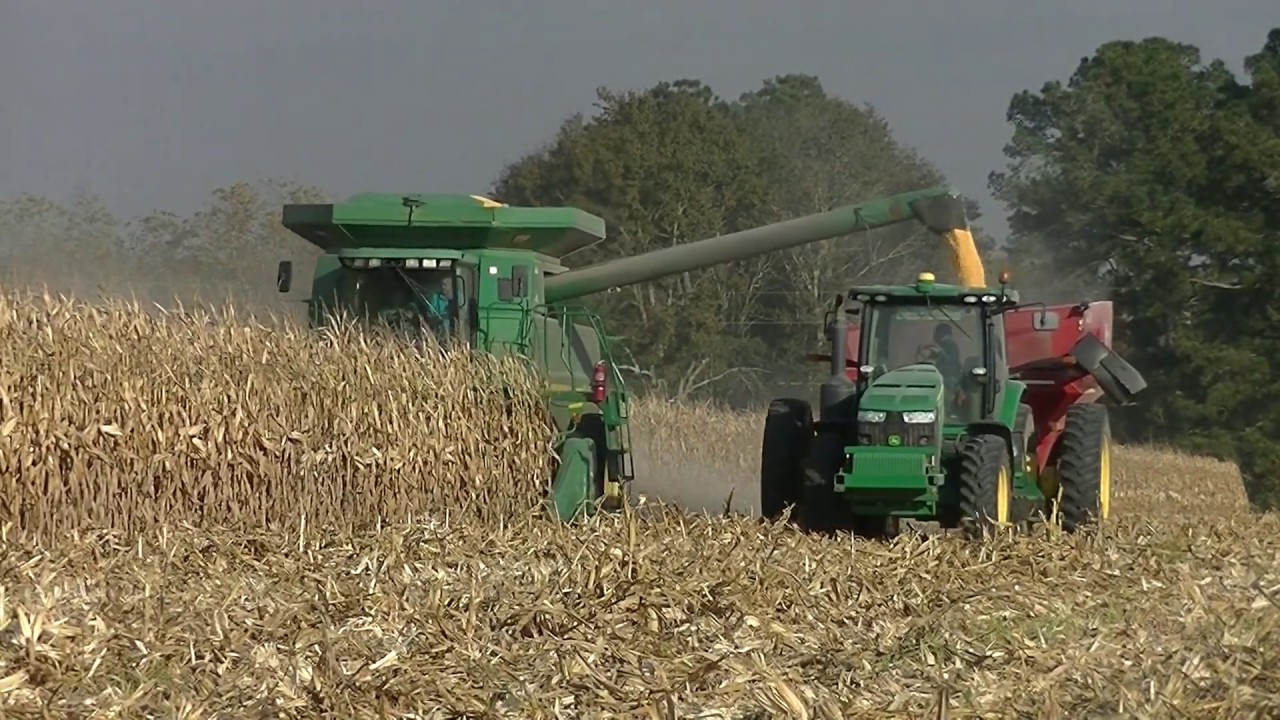 DOUBLE CROP CORN!! JOHN DEERE 9650 PICKING DOUBLE CROP CORN. SK FARMS ...