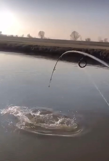 #carp #carpfishing #carpfishingvideos #foryou #yt #fish #youtube # ...