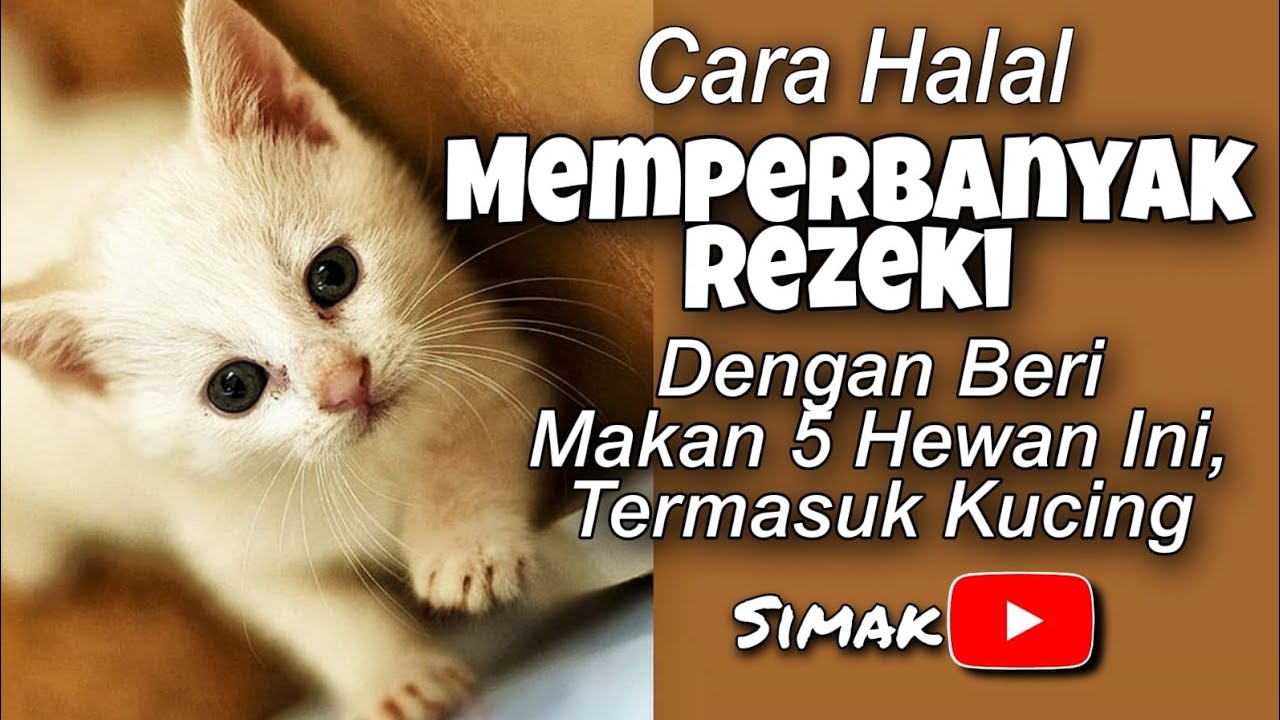 CARA HALAL MEMPERBANYAK REZEKI DENGAN BERI MAKAN 5 HEWAN INI, TERMASUK ...