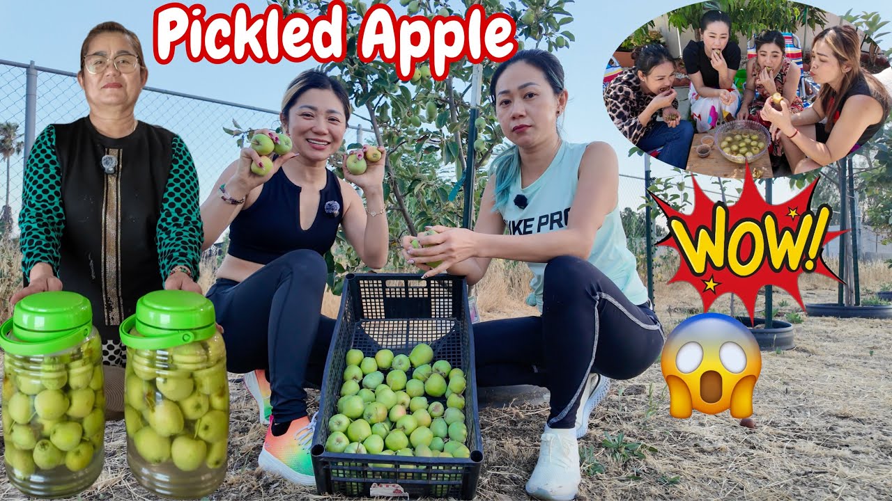 How To Make Delicious Pickled Apple | របៀបធ្វេីជ្រក់ផ្លែប៉ោម | (4K ...