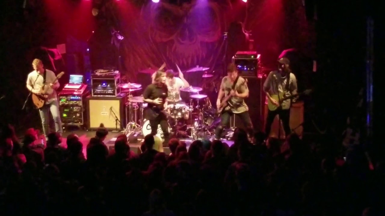 Carousel Kings - Grey Goose - 12/1/2017 - YouTube