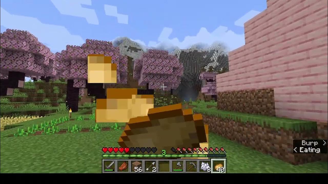 Minecraft server markcraft sesson 1 Episode 16 a day with le Nut while im building - YouTube