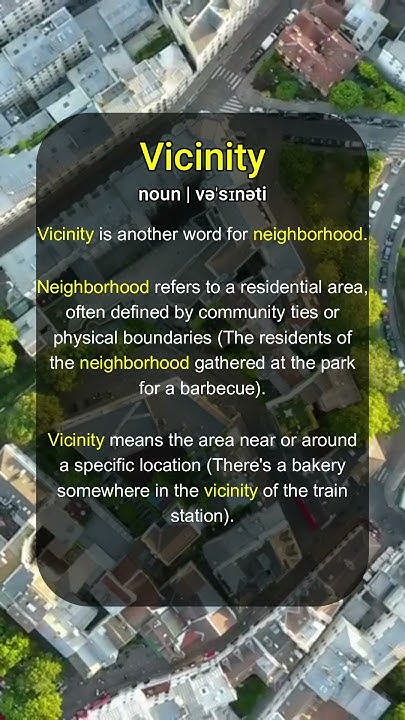 Synonym of the day - YouTube