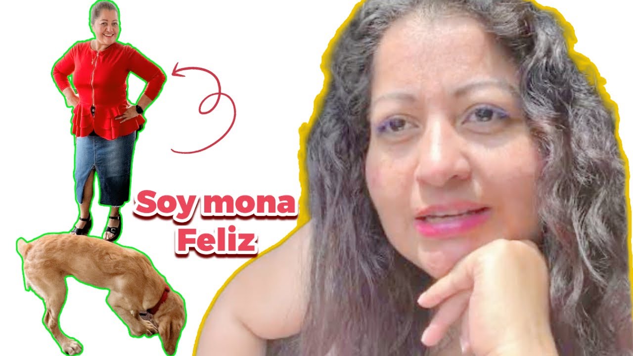 Mona que se viste de seda mona se queda dicen pero yo no me quedaré ...