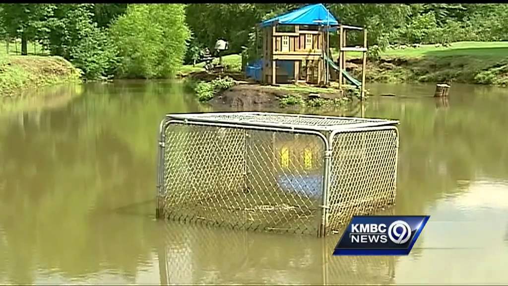 Alligator found in Atchison County Lake had been shot - YouTube