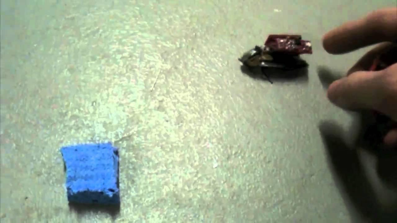 First BiDirectional RoboRoach Prototype - YouTube