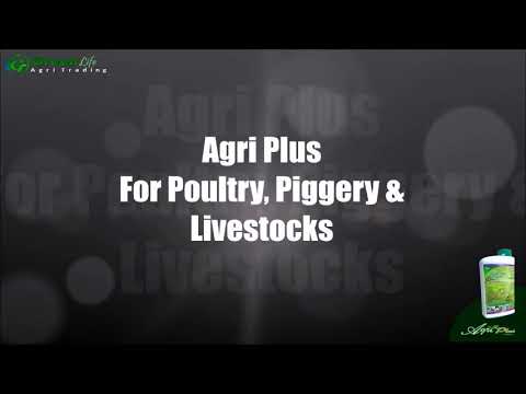Organic Technology for Piggery, Poultry and Livestocks using Agri Plus