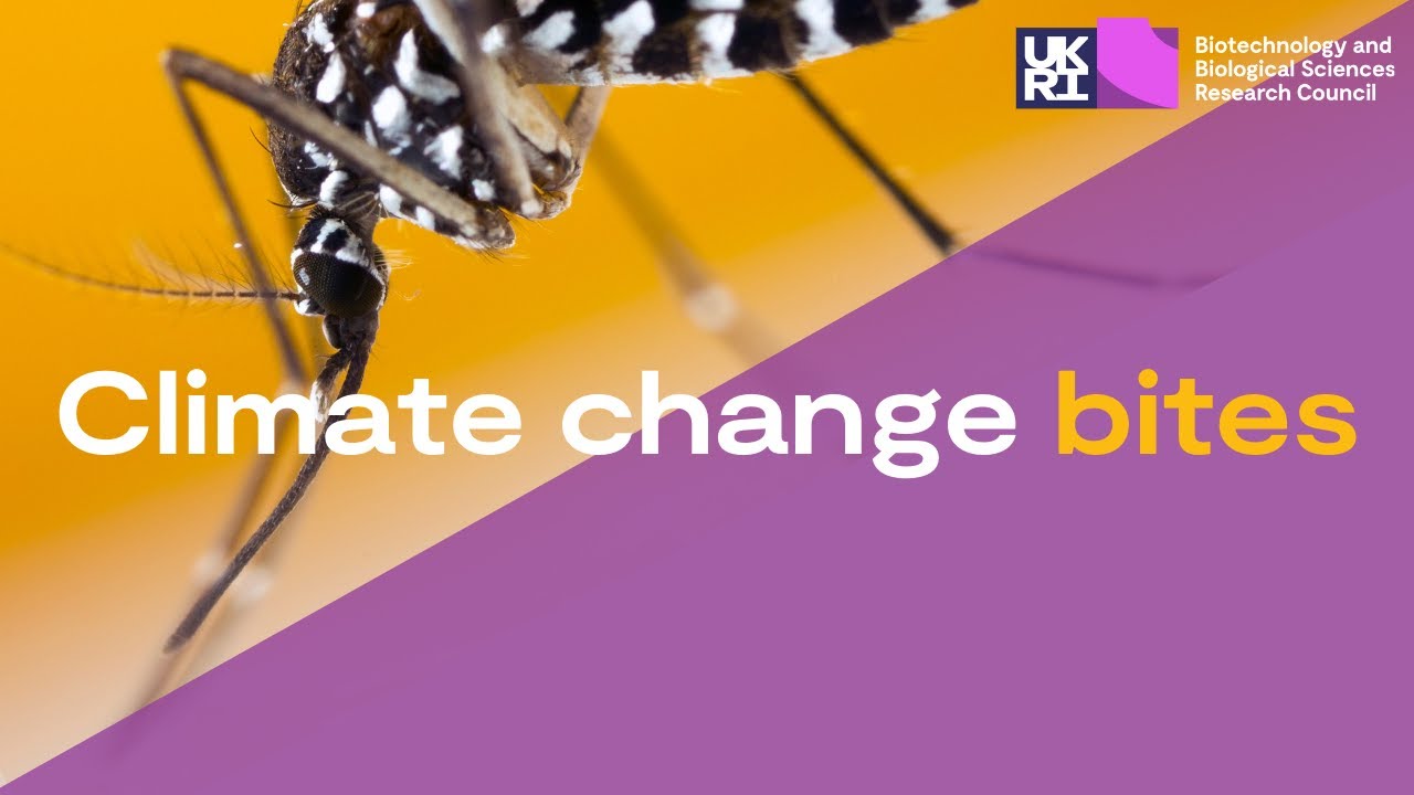 Climate Change Bites: How disease-spreading bugs will impact our health ...