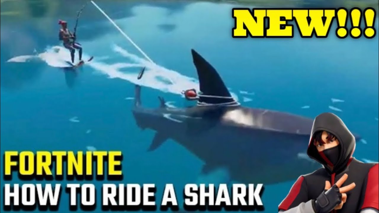 How to Ride a shark - YouTube