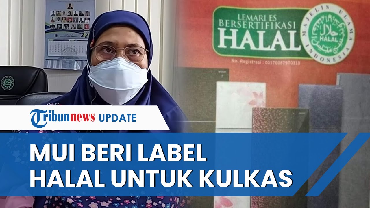 Kulkas hingga Kaus Kaki Ternyata Pernah Dapat Sertifikasi Halal dari ...