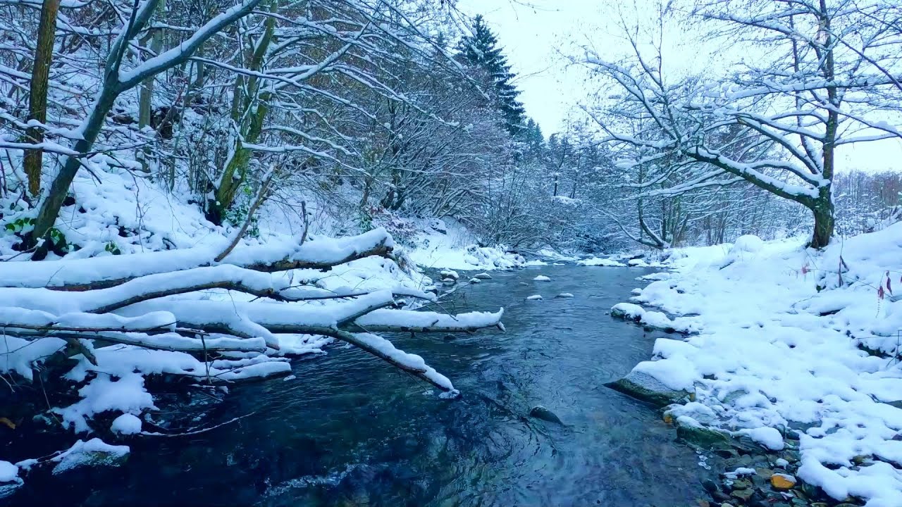 10 hours Relaxing river sounds in Snowy Forest [Winter Nature sounds ...