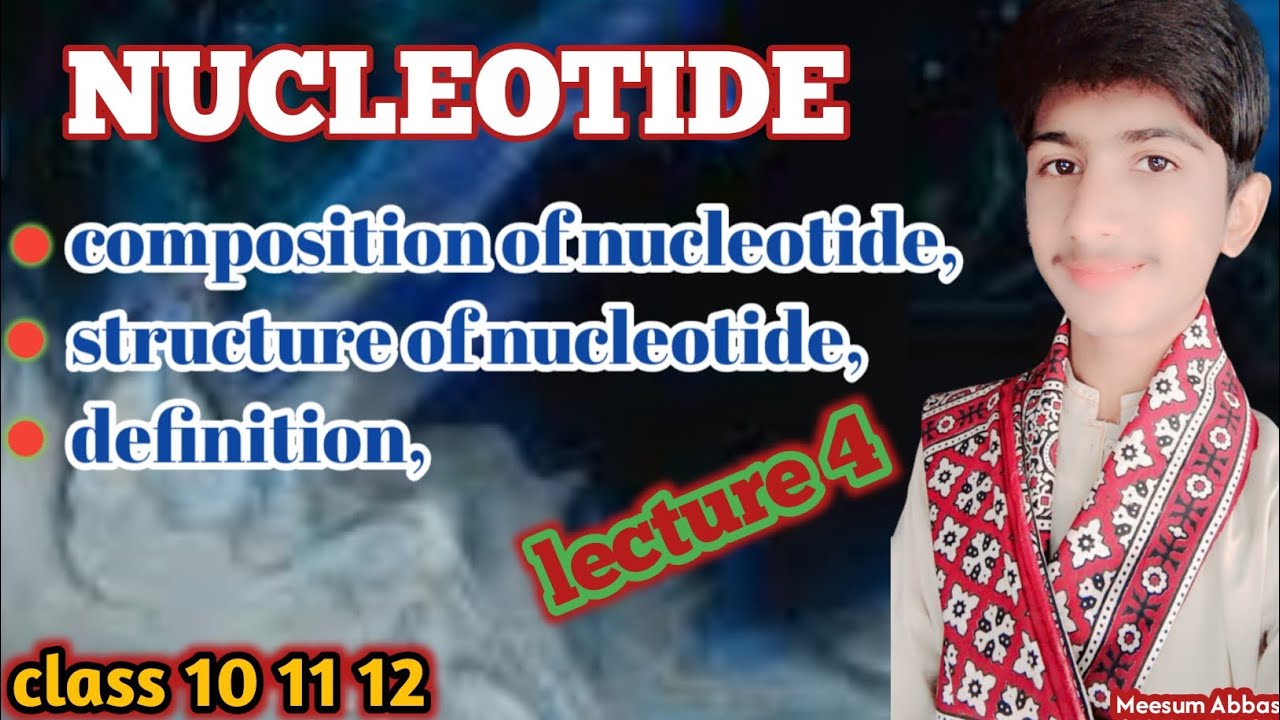 Nucleotides |Composition of nucleotide Structure|definition | function of nucleotide class 10 11 ...
